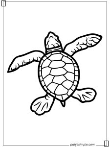 54 Turtle Coloring Pages For Kids (Free Printables PDF) – Paige Simple